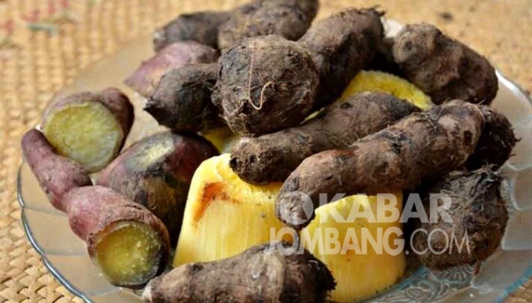Polo Pendem, Penganan Tradisional Jawa Berfilosofi Mendalam | Kabar Jombang