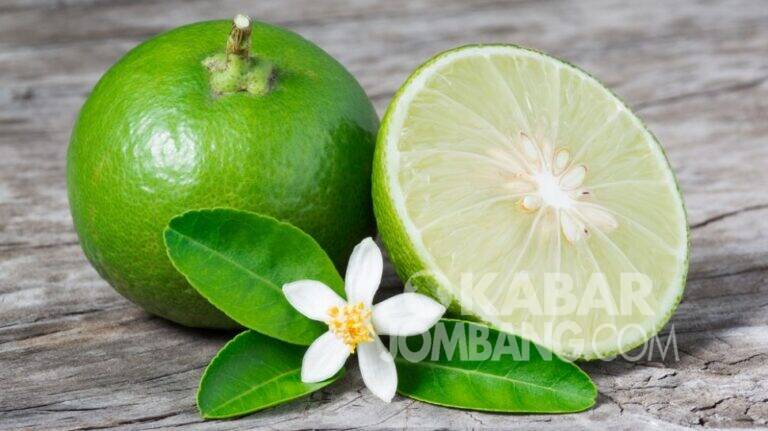 Jeruk Nipis, Inilah Manfaat dan Efeknya untuk Kesehatan | Kabar Jombang